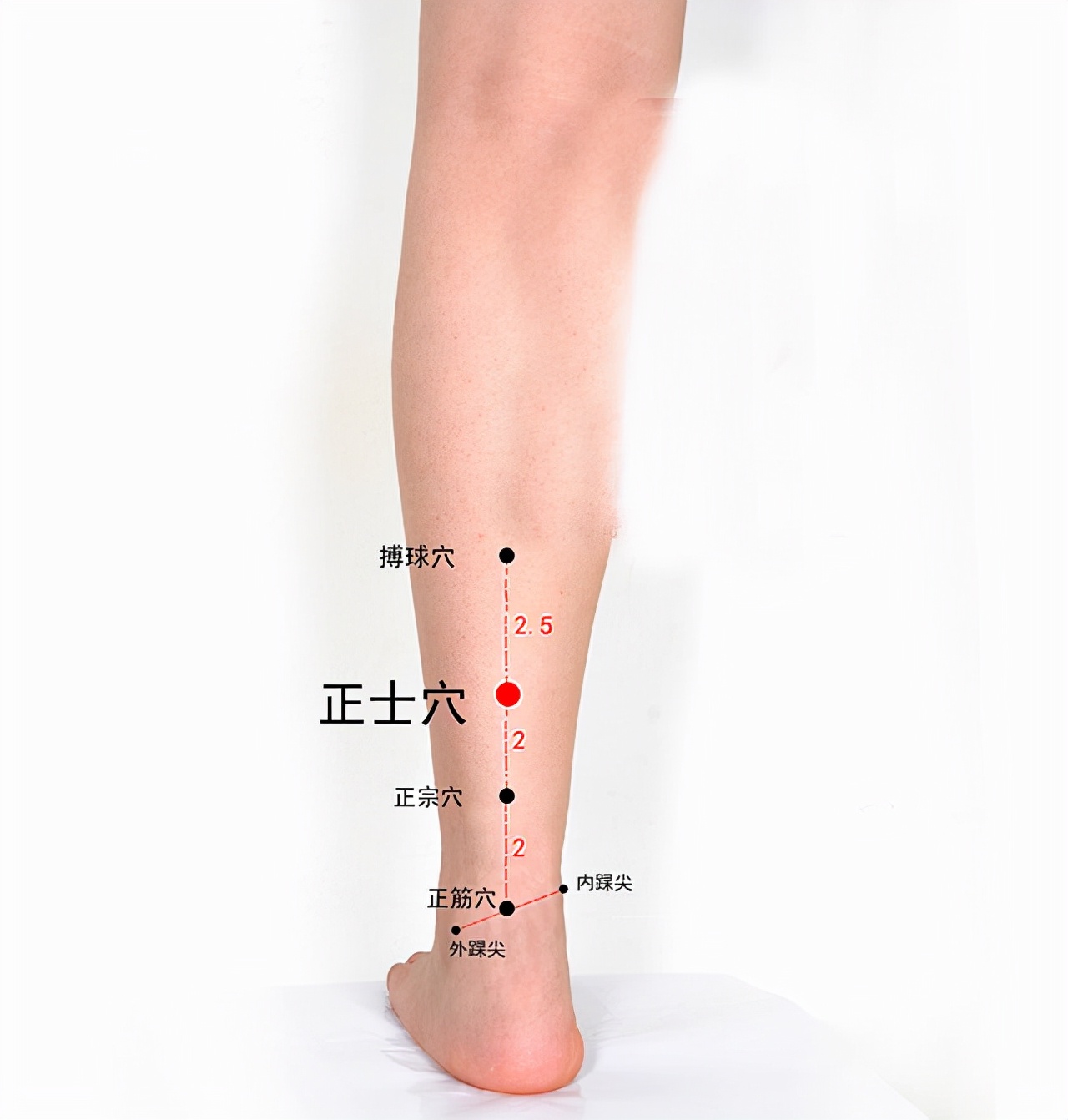 TCM acupuncture prescription for spleen and stomach diseases 4 - iNEWS