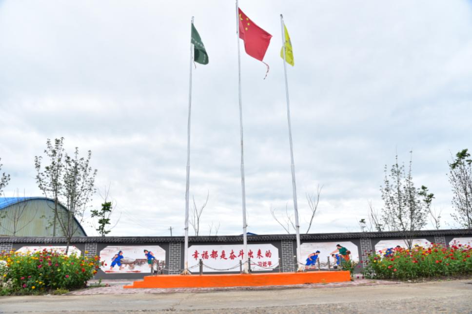 Jiang Zhenyu "Into Xinhe Village, Baoshou Town" - iNEWS