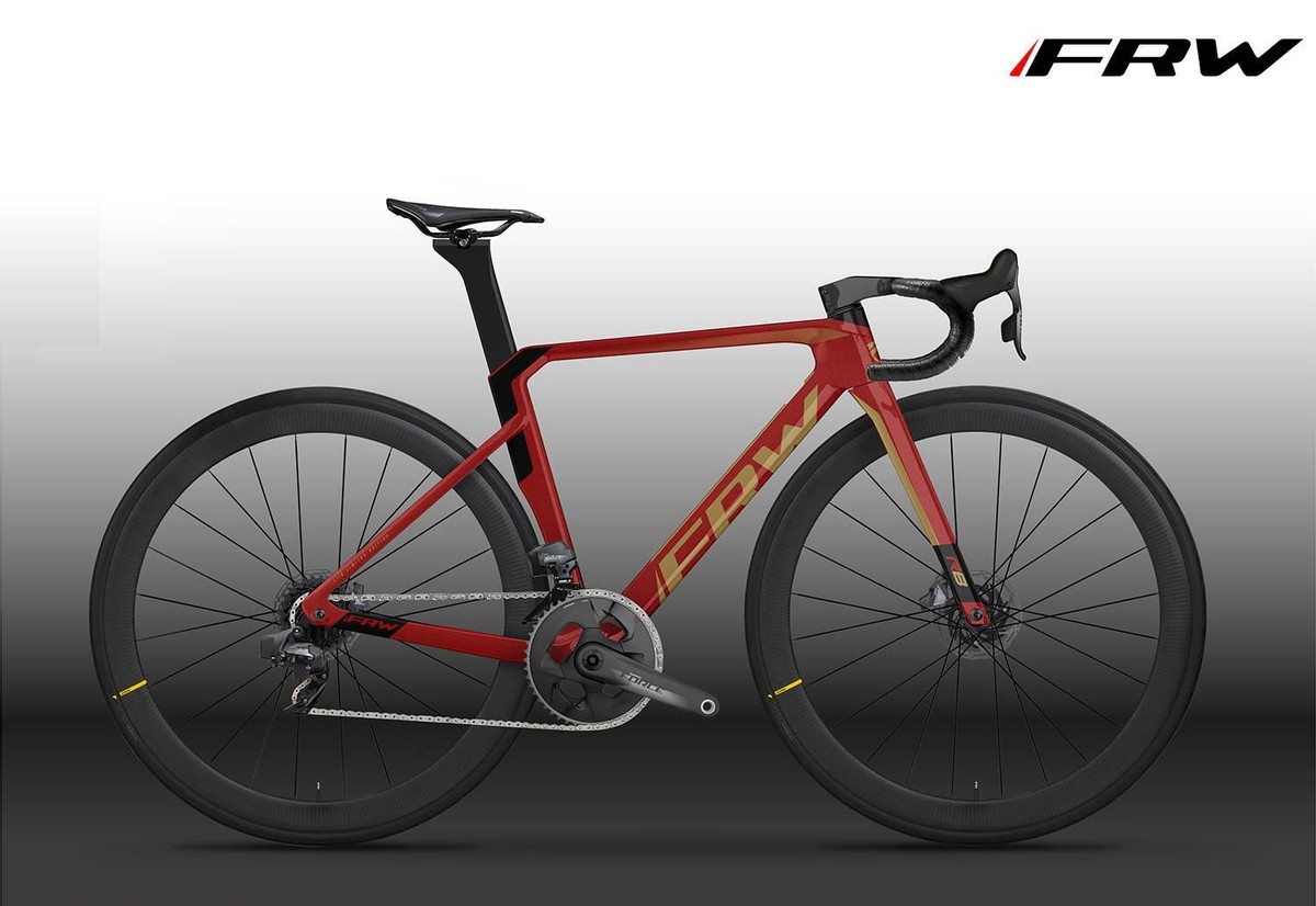 2024 Top 10 Carbon Fiber Bicycle Brands in the World Spoke Wheel King ...