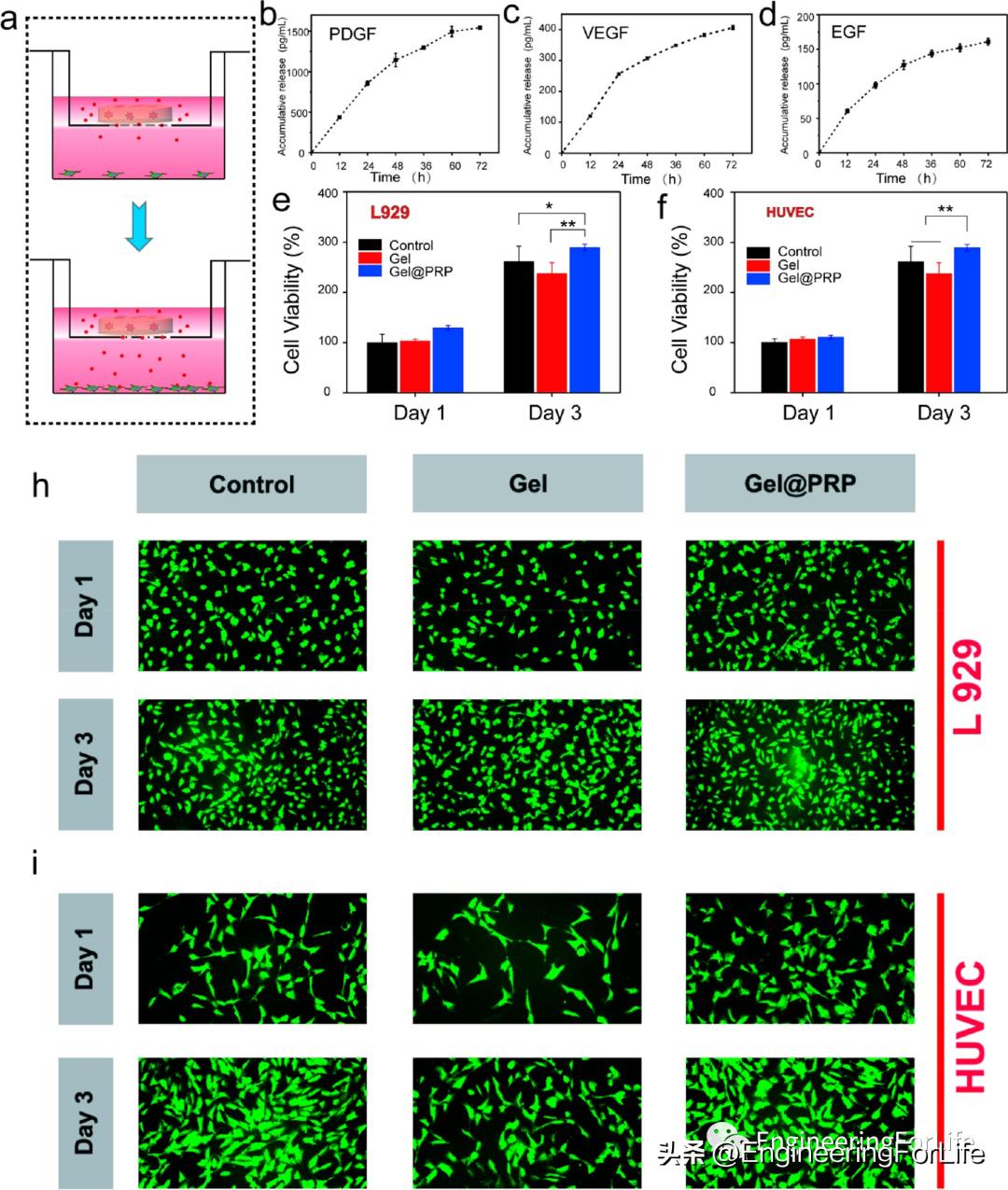 "ACS Nano": Self-healing nanocomposite hydrogel loaded with PRP ...