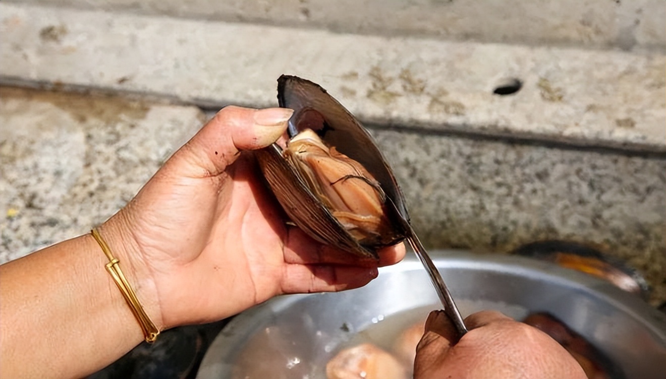 River mussel meat is fat and thick. Why is it difficult for Chinese ...