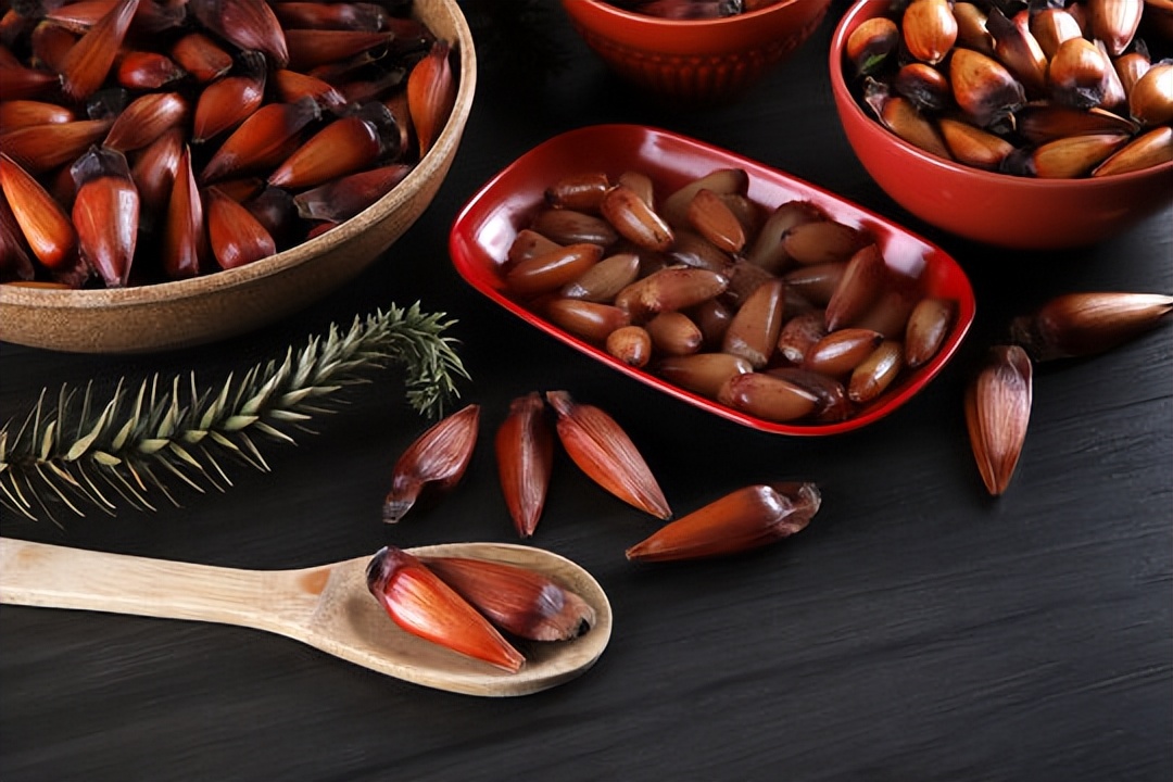 Parana pine nuts contain twice as much calcium as milk - iNEWS