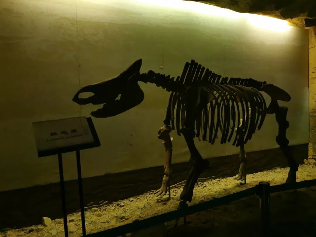 Paleolithic Museum in Shuidonggou, Ningxia - iMedia