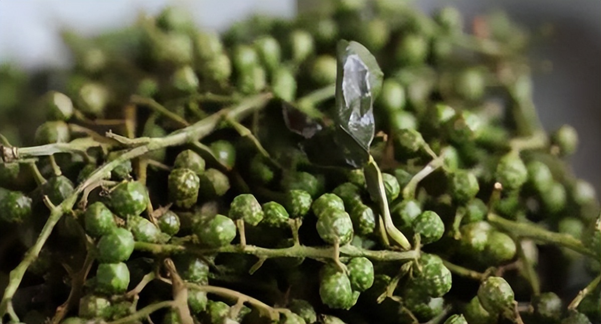 To stimulate the "numbness" of pepper, 4 steps to keep in mind - iNEWS