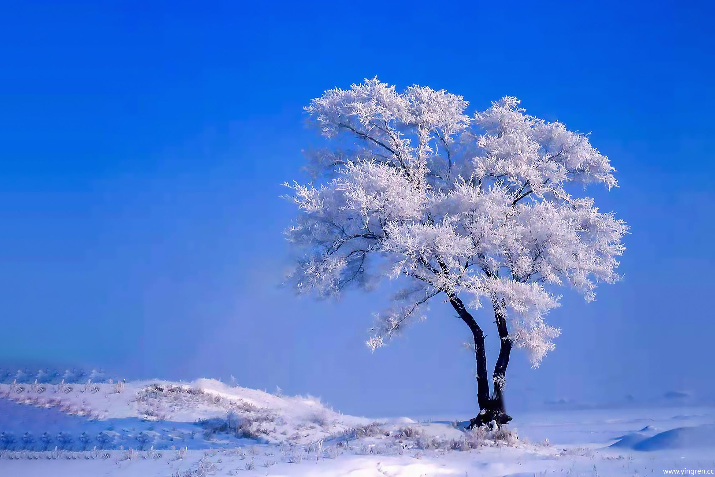 What are the most beautiful scenery in China - iNEWS