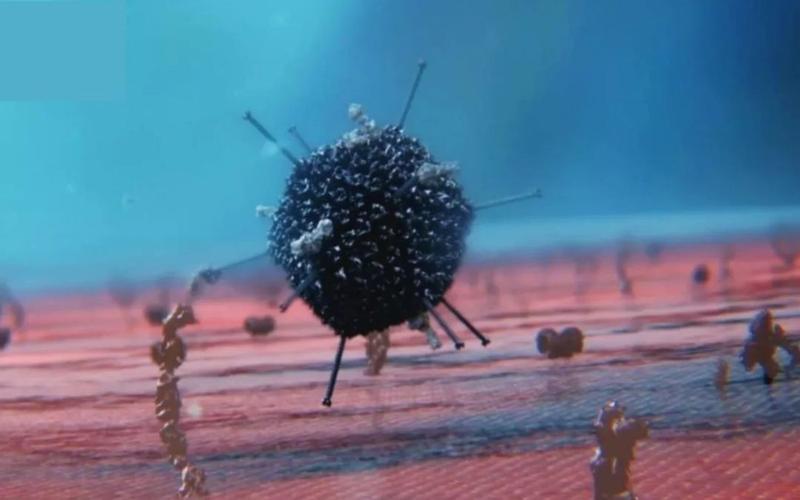 Are humans vulnerable to viruses? The process of cells fighting against ...