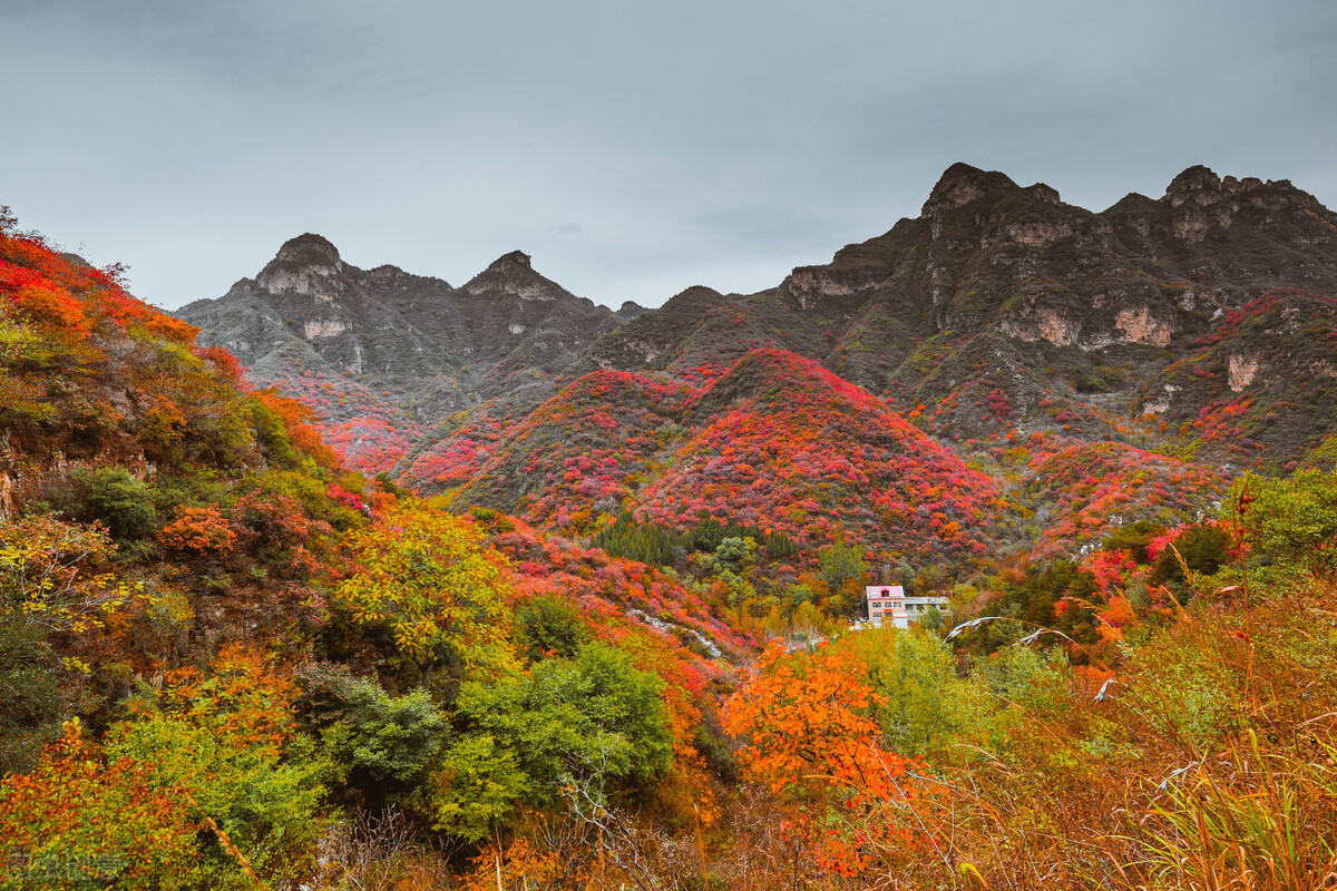 2022 Beijing red leaf viewing guide!10 must-haves with babies - iNEWS
