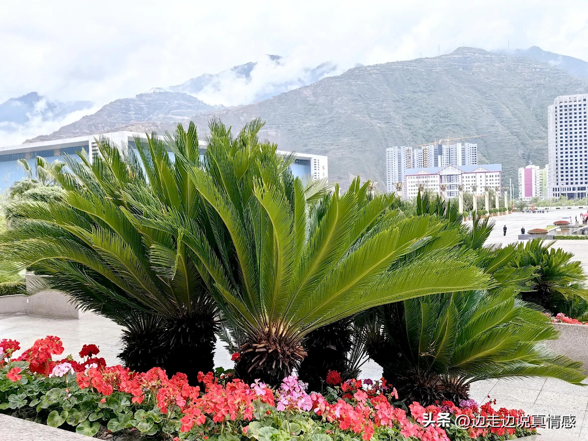 After the rain, the scenery of Longnan is new, and the gods and gods ...