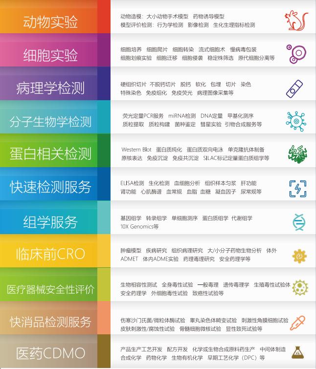 What are the similarities and differences between plasmid vectors and ...