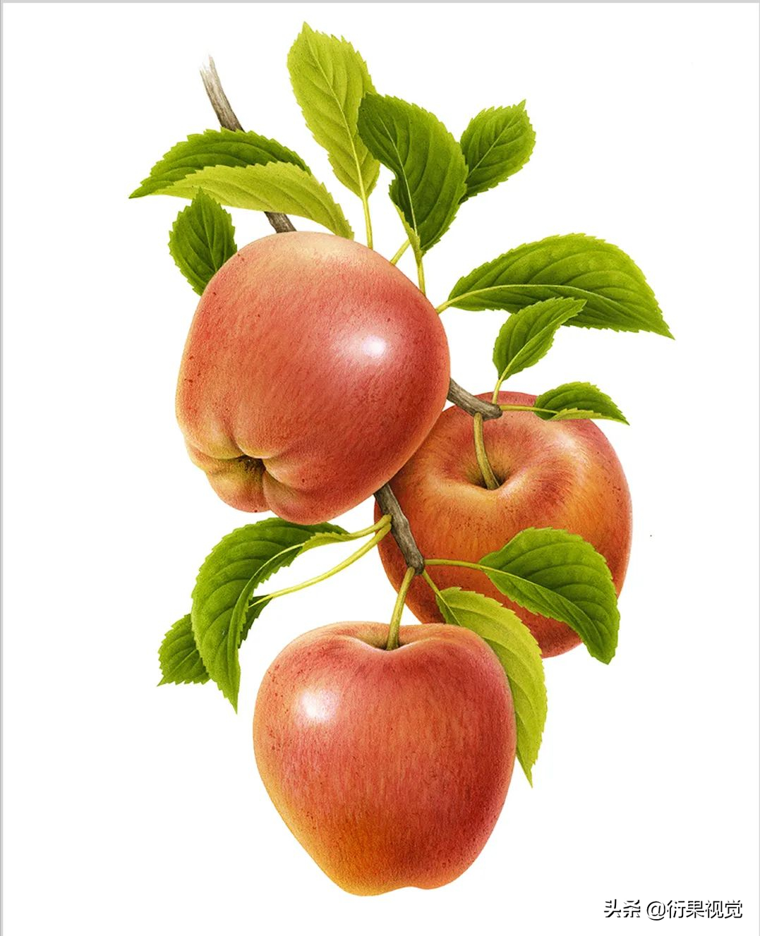 Color matching must learn skills!Color ring color matching remember ...