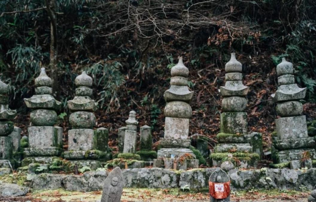 A brief analysis of the selection of cemeteries and the process of ...