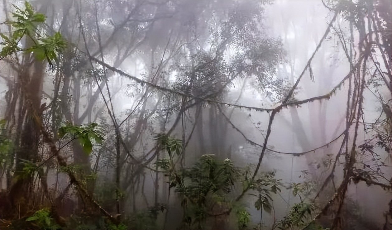Shan Hai Jing Legend Purgatory Place Corpse Mountain INEWS shan-hai-jing-legend-purgatory-place-corpse-mountain-inews