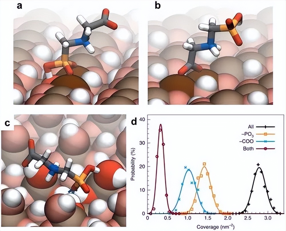 Multiscale magnetization in cobalt-doped ferrite nanocubes, - iMedia