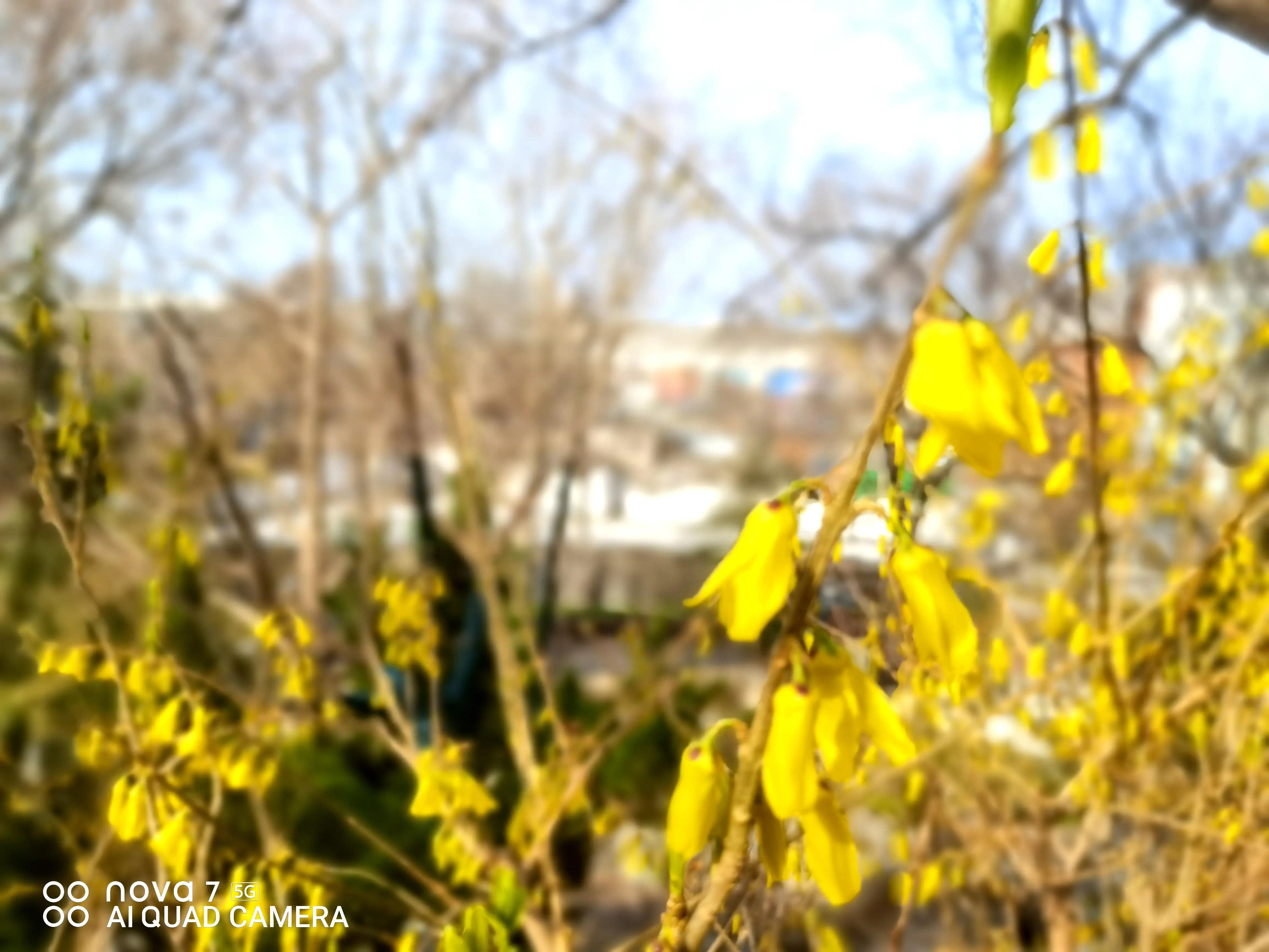 Huitong Temple in Beijing Xihai Wetland Park - iMedia