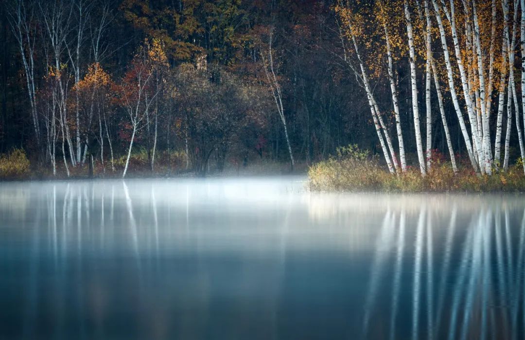10 most beautiful cold dew poems, the autumn wind rises, the night is ...