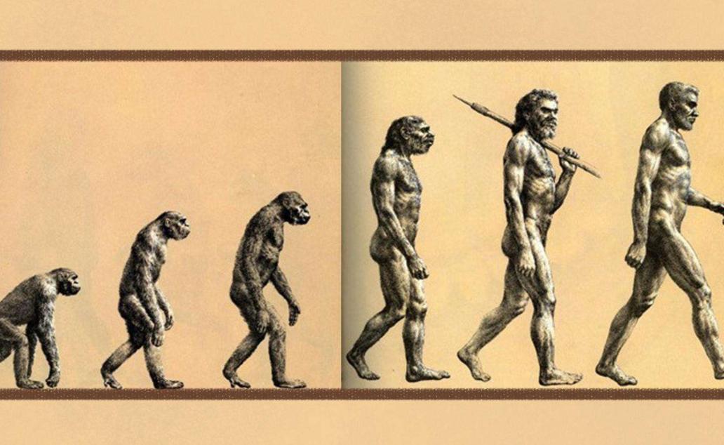 Why do most males use the same organ for copulation and urination, and ...