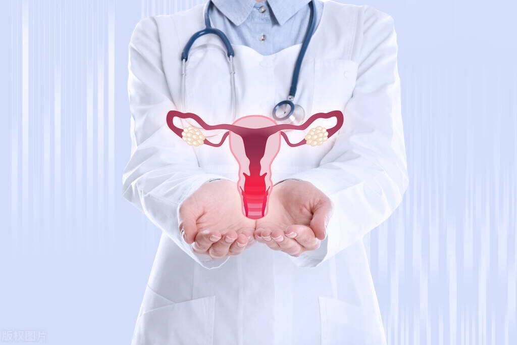 What are the characteristics of female fertility - iNEWS
