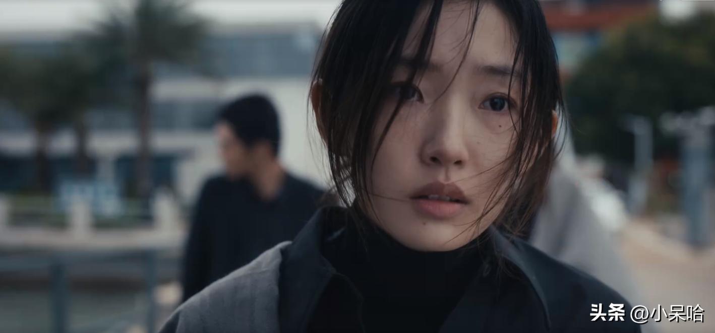 Suspense drama Wang Zha, starring Jing Boran, Zhou Yiran, Wang Yanhui ...