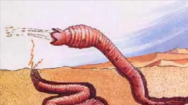 The unsolved mystery of the Mongolian death bug, ugly and mysterious ...