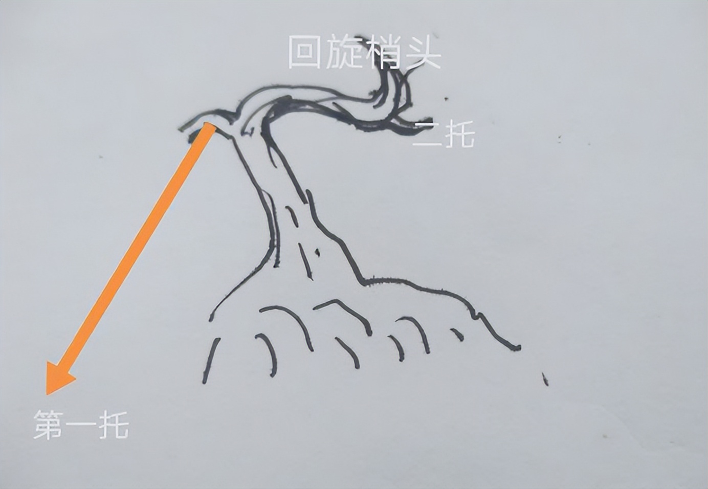 It is difficult to make conventional bonsai without the piles of ...