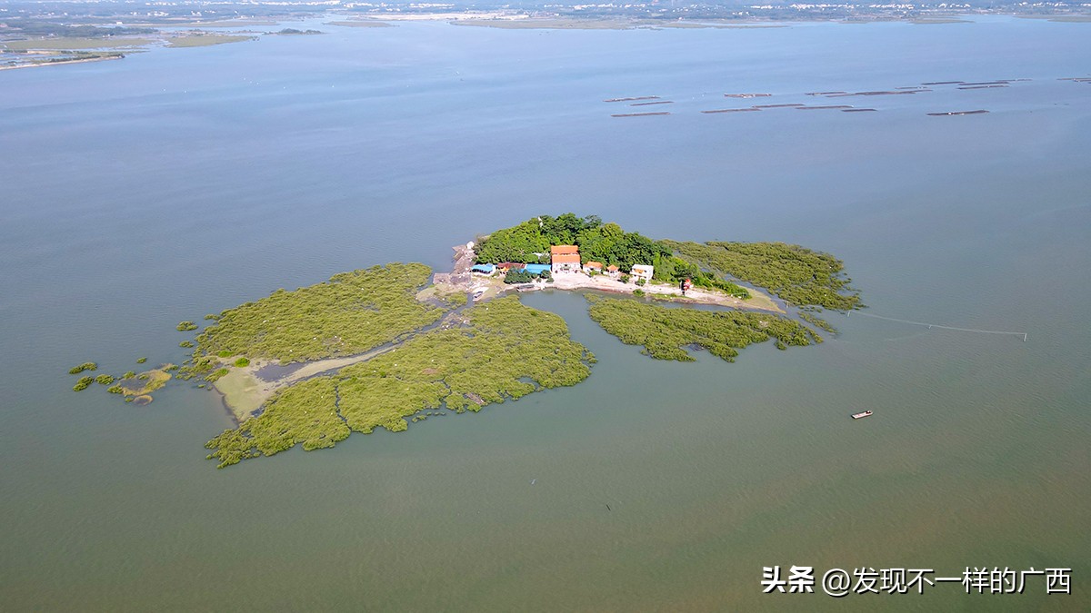 The most beautiful island in the waters of Tieshan Port in the Beihai ...