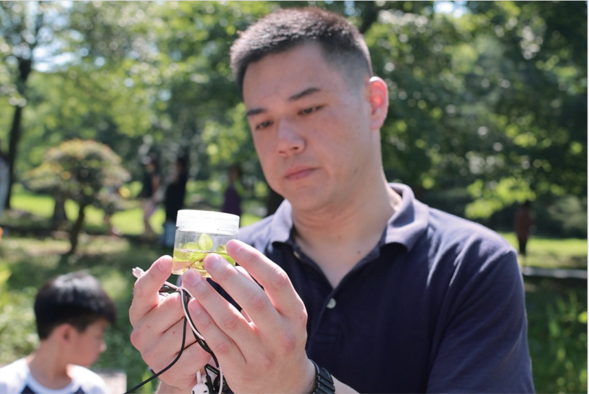 "Portrait" of Wuhan's iconic wetland plants by Dr. "He" - iMedia