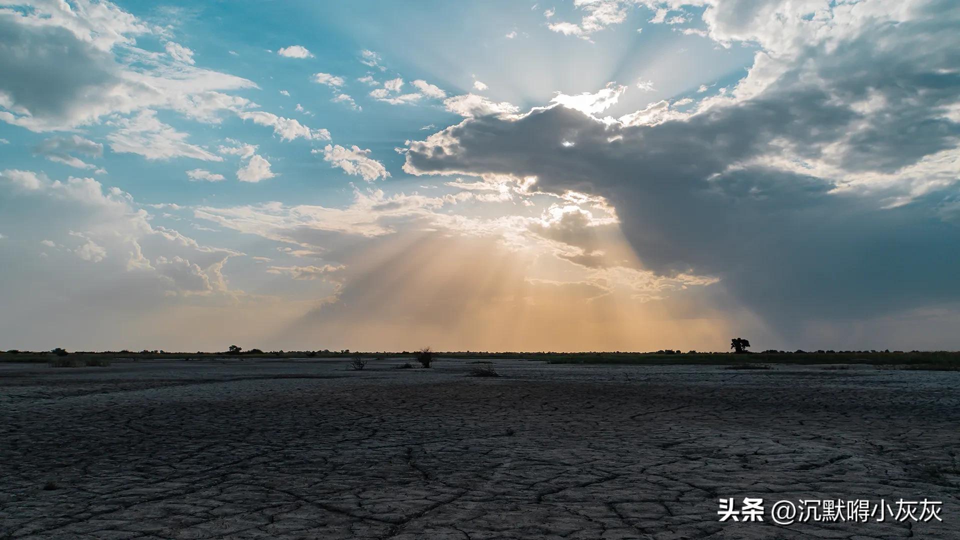 D296 Little crossing route - iMedia