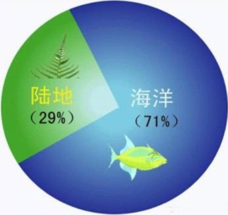 Why have humans only explored 5% of the ocean?What did humans find in ...