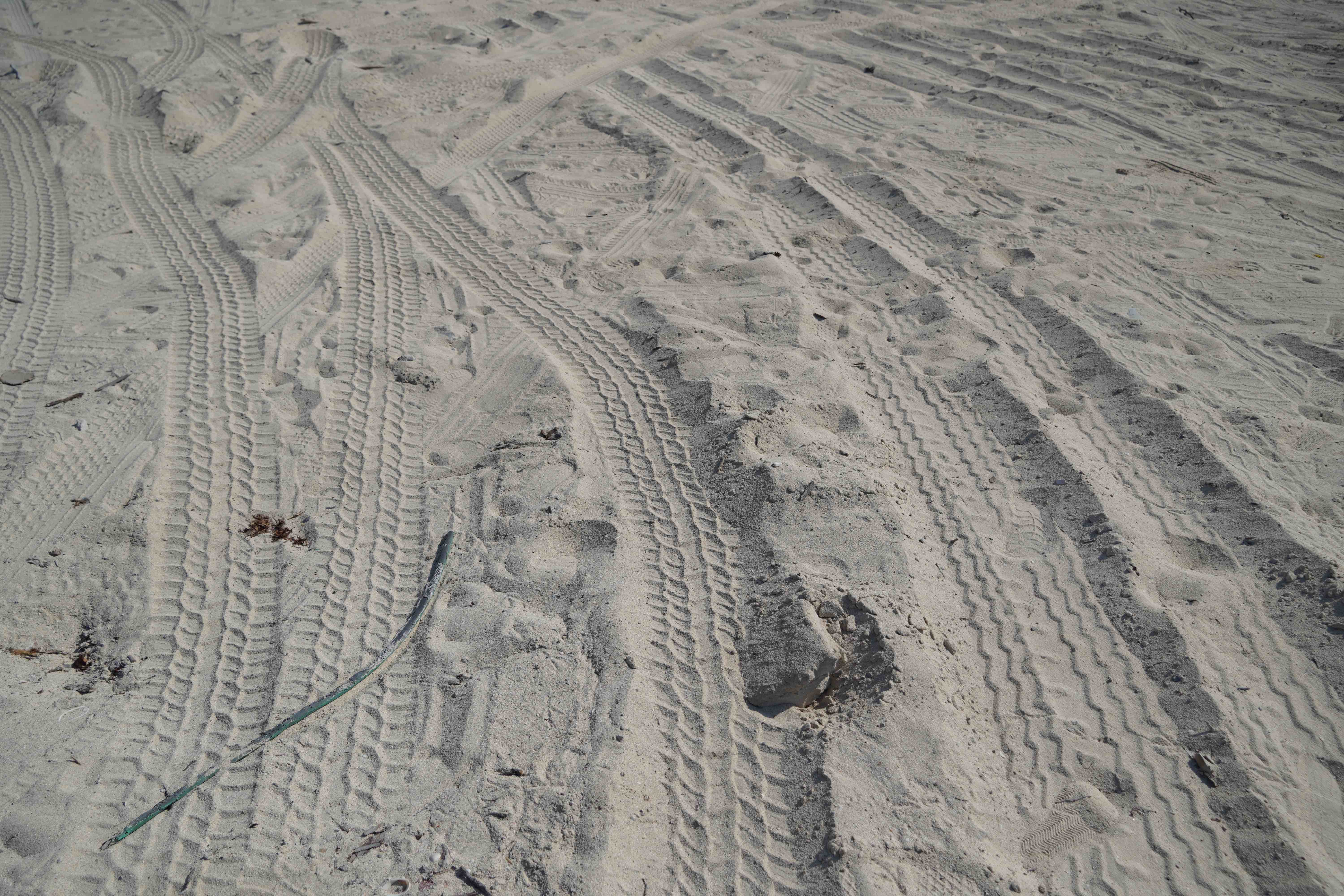 Soft sand, hard rock, and mud roads, how does the "Car God" conquer ...