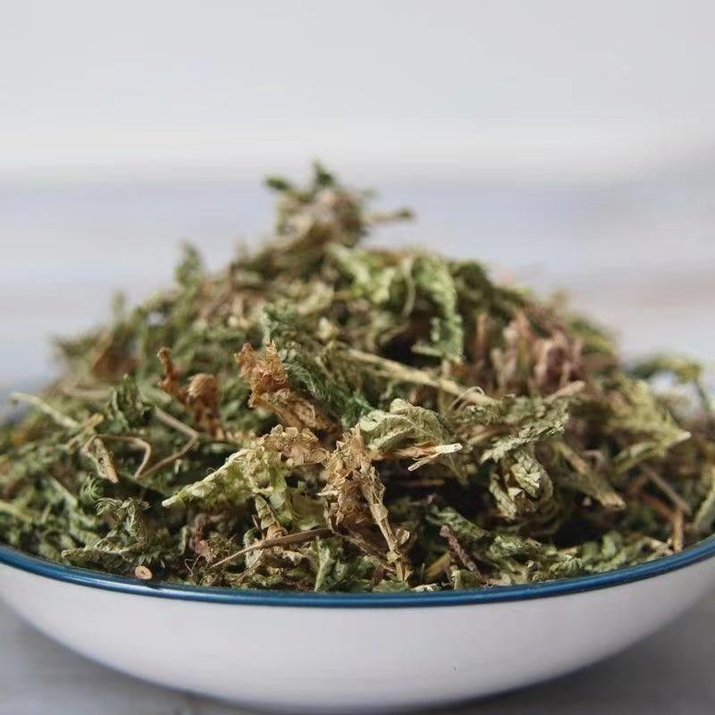 Sanfeng Zhenren's "immortal grass" - Shishang Cypress, clears heat and ...