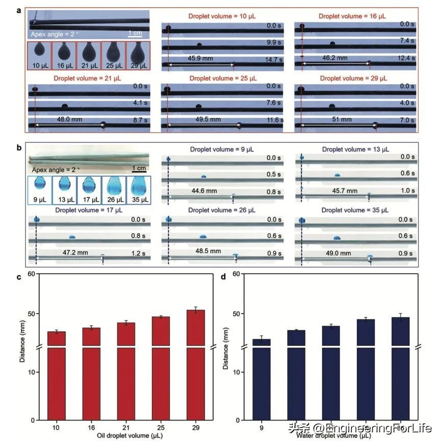 Multiple bionic structures! Super-wetting V-shaped track realizes ...