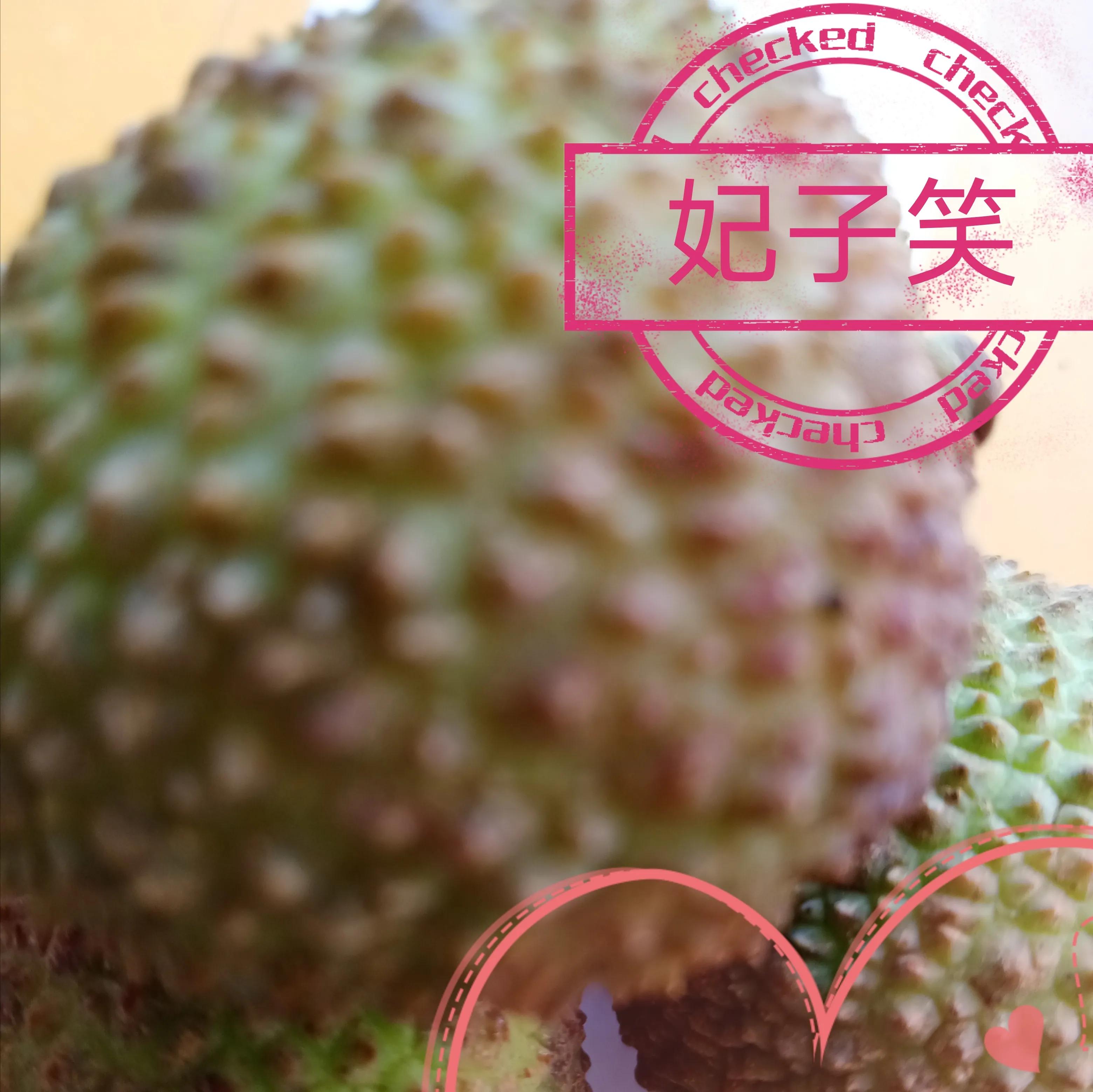 Lychee Eater - iNEWS