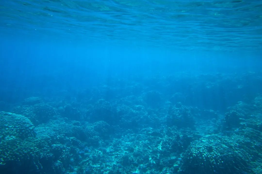 Research status and countermeasures of deep sea extreme environment in ...