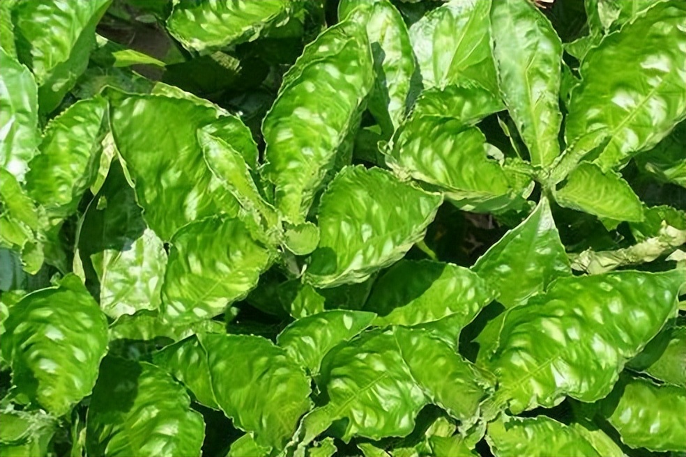 Reading "Xunzi" 01 to persuade learning - iNEWS