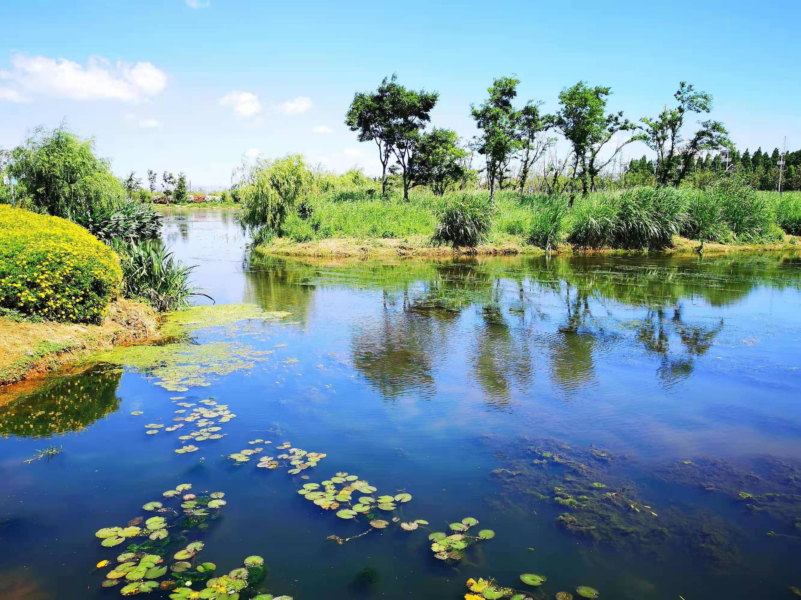 Where to go in Kunming in summer?A visit to Wangguan Wetland Park - iNEWS