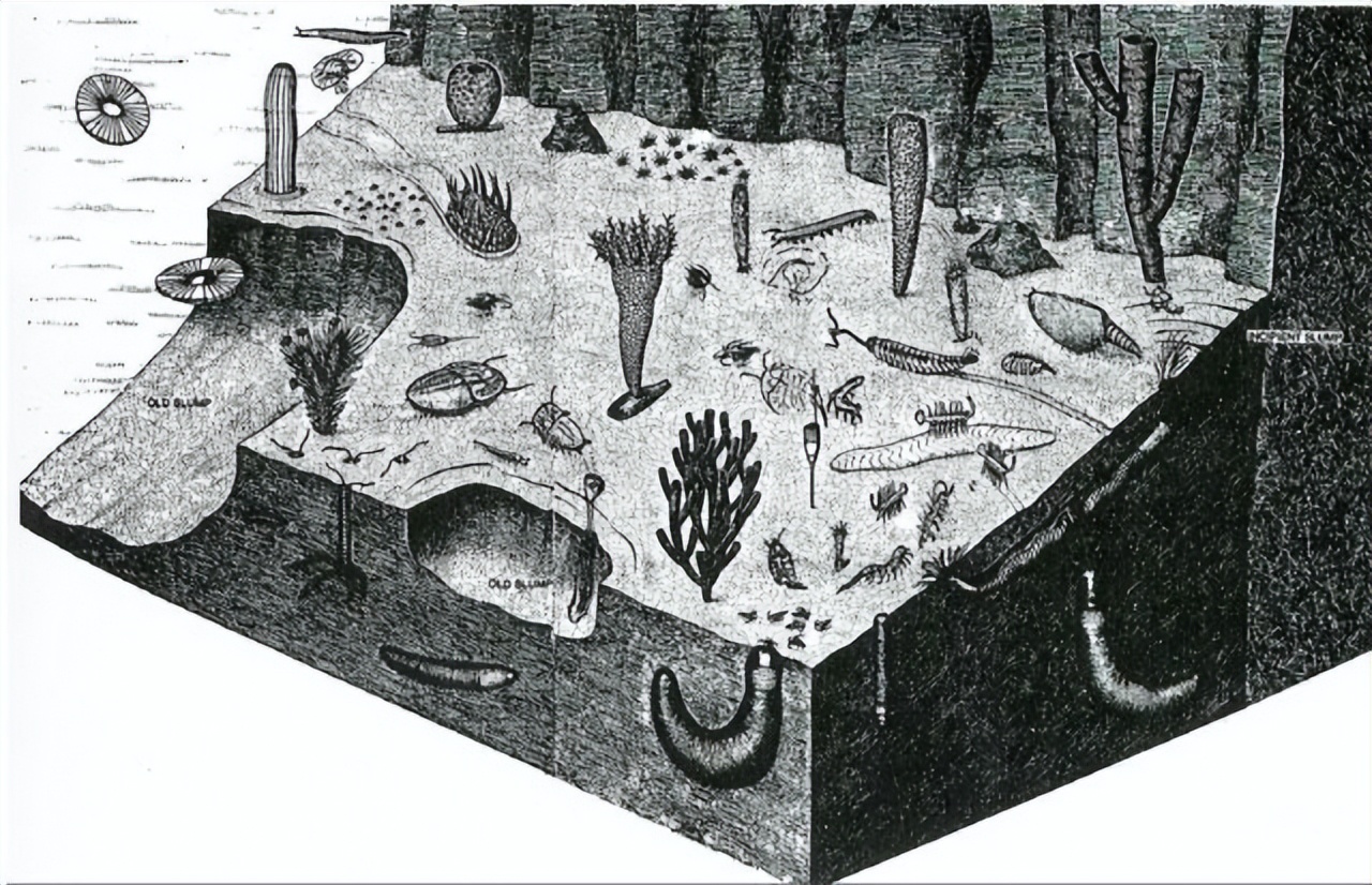 Formation of pre-Cambrian crystalline minerals and their role in the ...