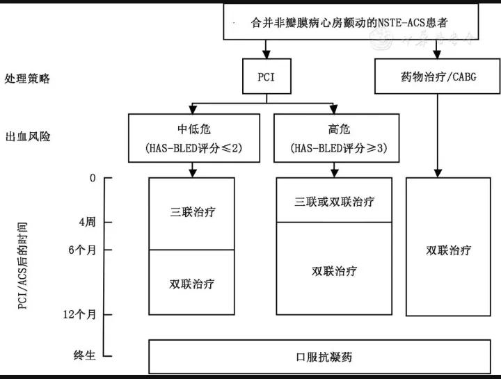 Diagnosis and treatment of non-ST-segment elevation acute coronary ...