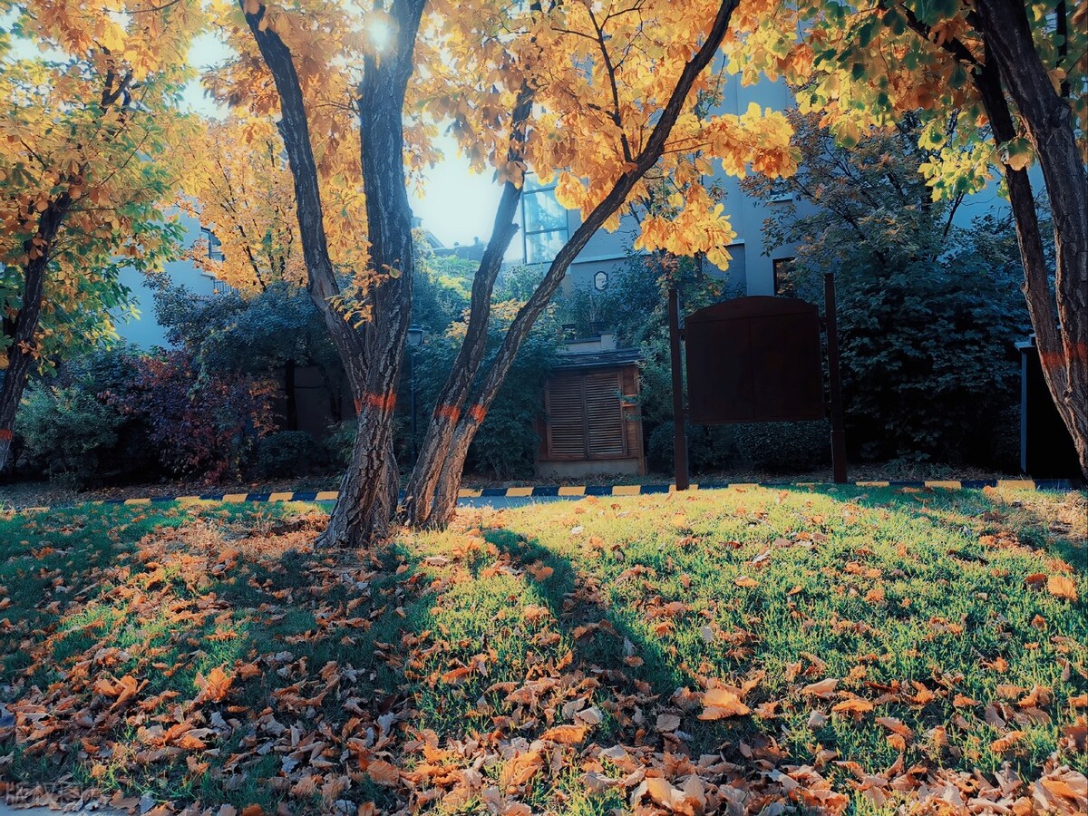 The mobile phone price war is kicking off, but the era of PHS has come ...