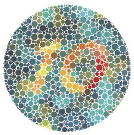 Here's a red flower, that's a green leaf...how do our eyes recognize ...