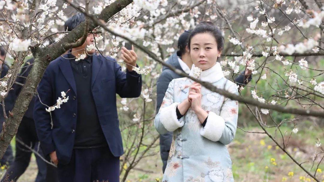 On the banks of Zongxi River: Cherry blossoms bloom in the mountains ...
