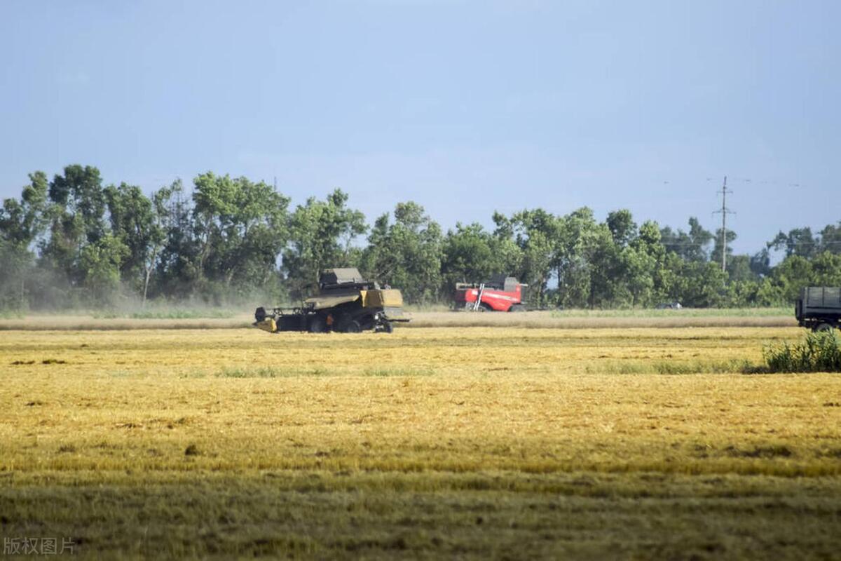 Produce one ton of grain per capita? How Putin turned the Soviet Union ...