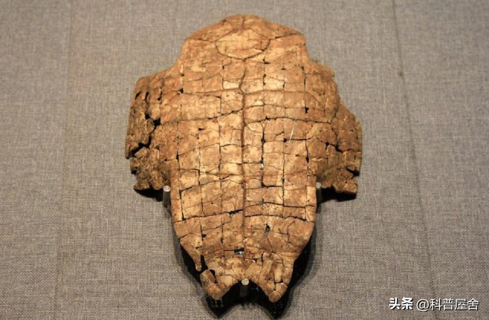 After the destruction of the Shang Dynasty, China entered a godless ...