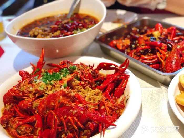 How many years can the bullfrog become popular? - iMedia