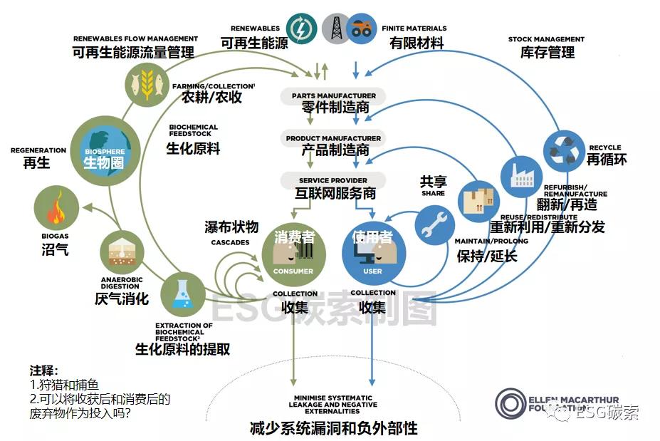 Research: How did Alibaba write its first carbon neutrality report ...