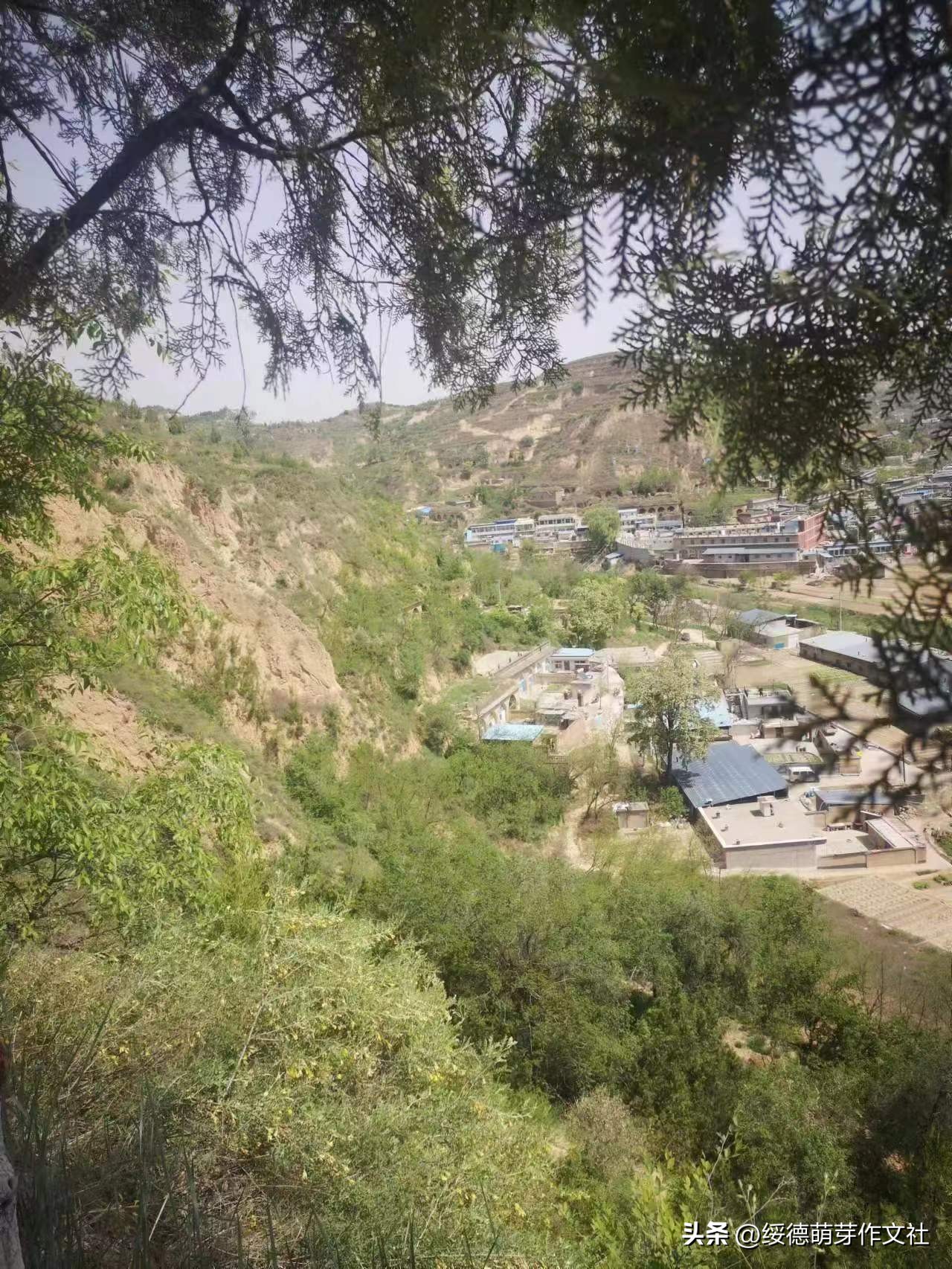 Wangjiashe nest in Beiwan, Wuliwan, Suide - iNEWS