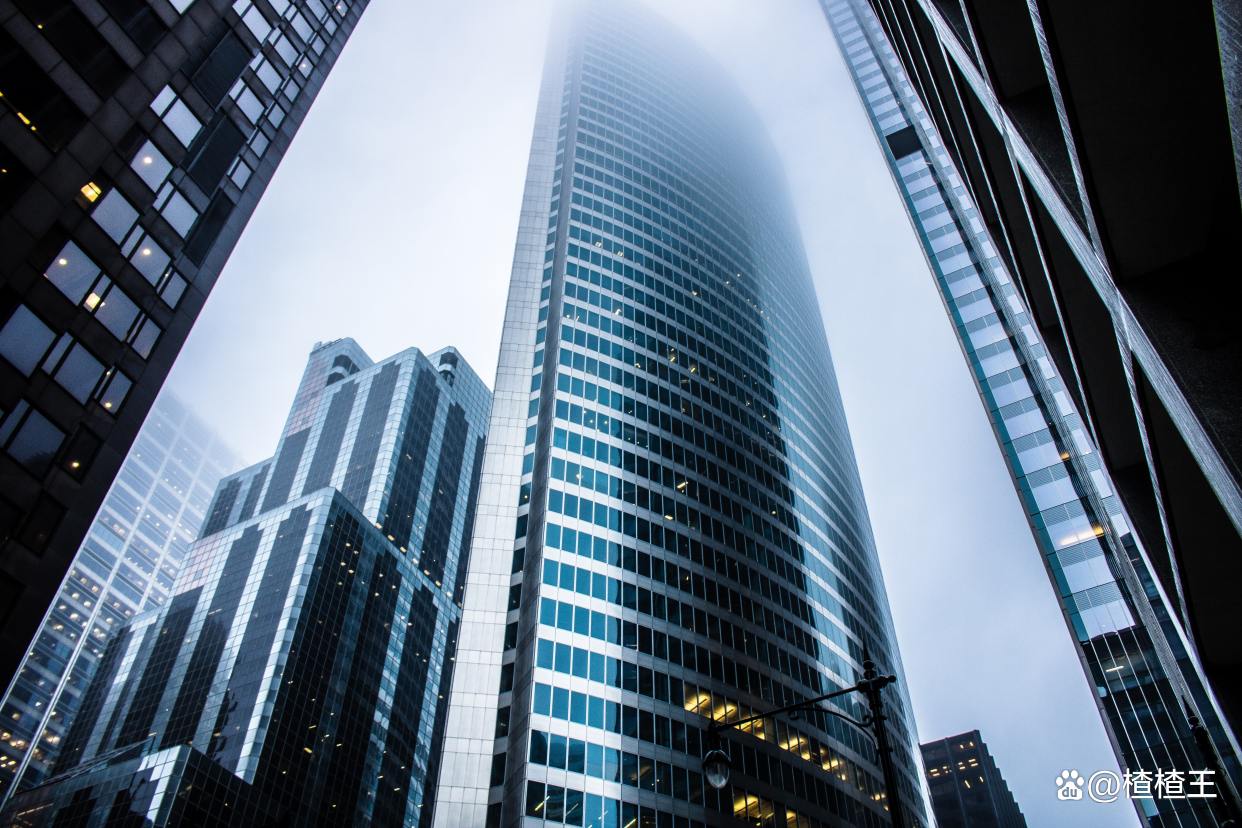 The underlying logic of how the brain works - iNEWS