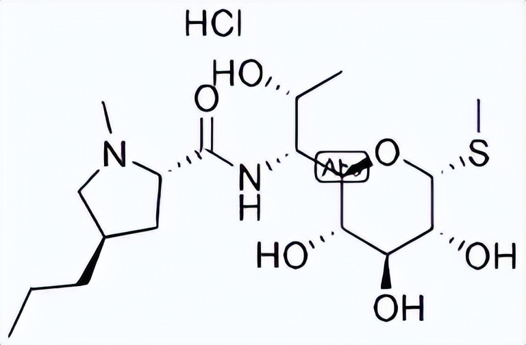 Lincomycin Hydrochloride - iNEWS