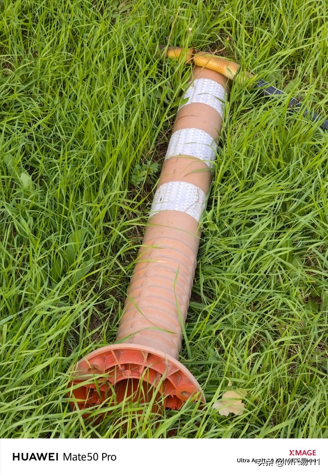華為 Meta 50 Pro 拍攝樣張 - 資訊咖