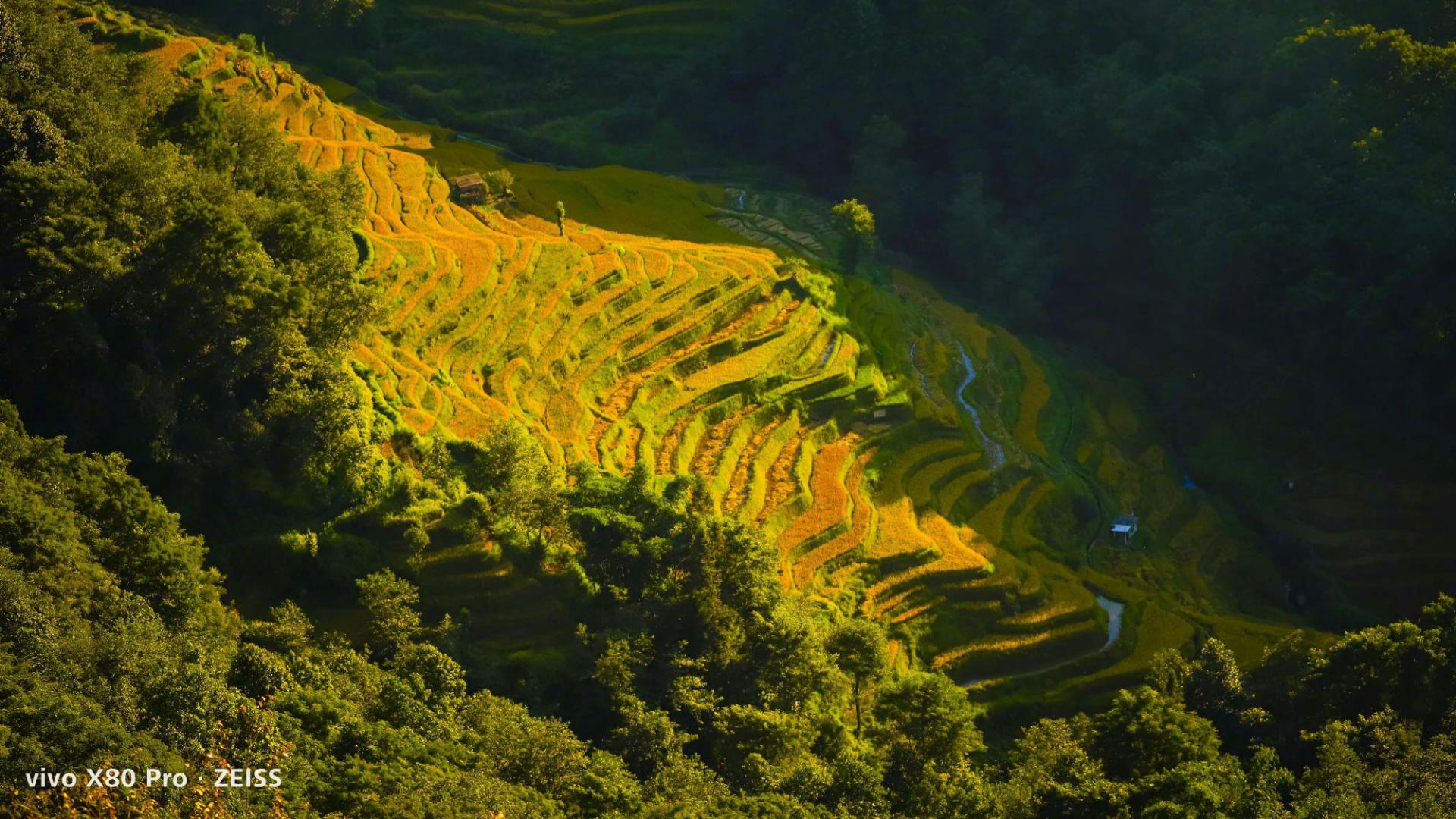 How does the vivo X80 Pro perform in photography?Professional image ...