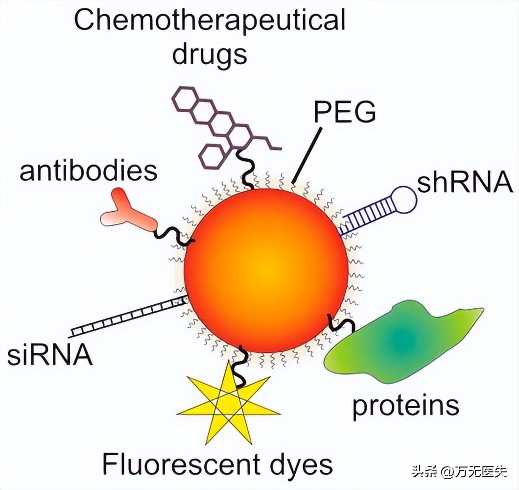Interaction of gold nanoparticles with blood proteins - iNEWS